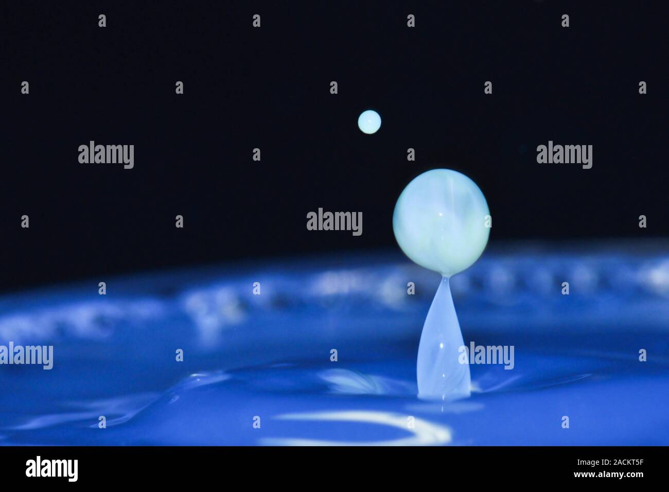 High-speed flash photograph liquid column created by the impact of a ...