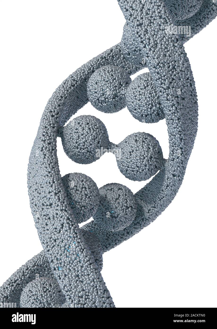 Dna Molecule Computer Artwork Showing A Double Stranded Dna Deoxyribonucleic Acid Molecule