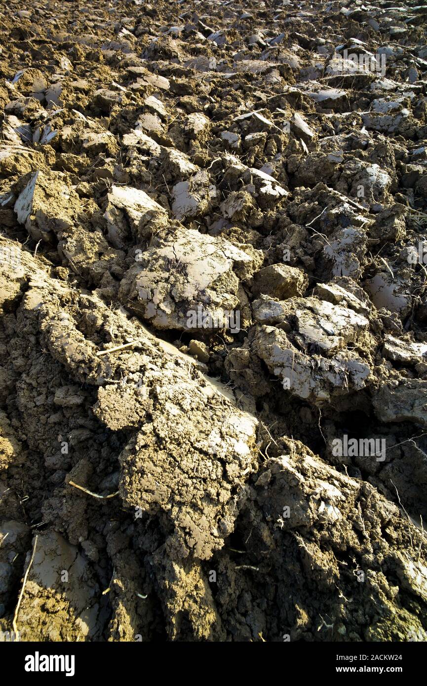 Ploughed field of a farmer Stock Photo - Alamy