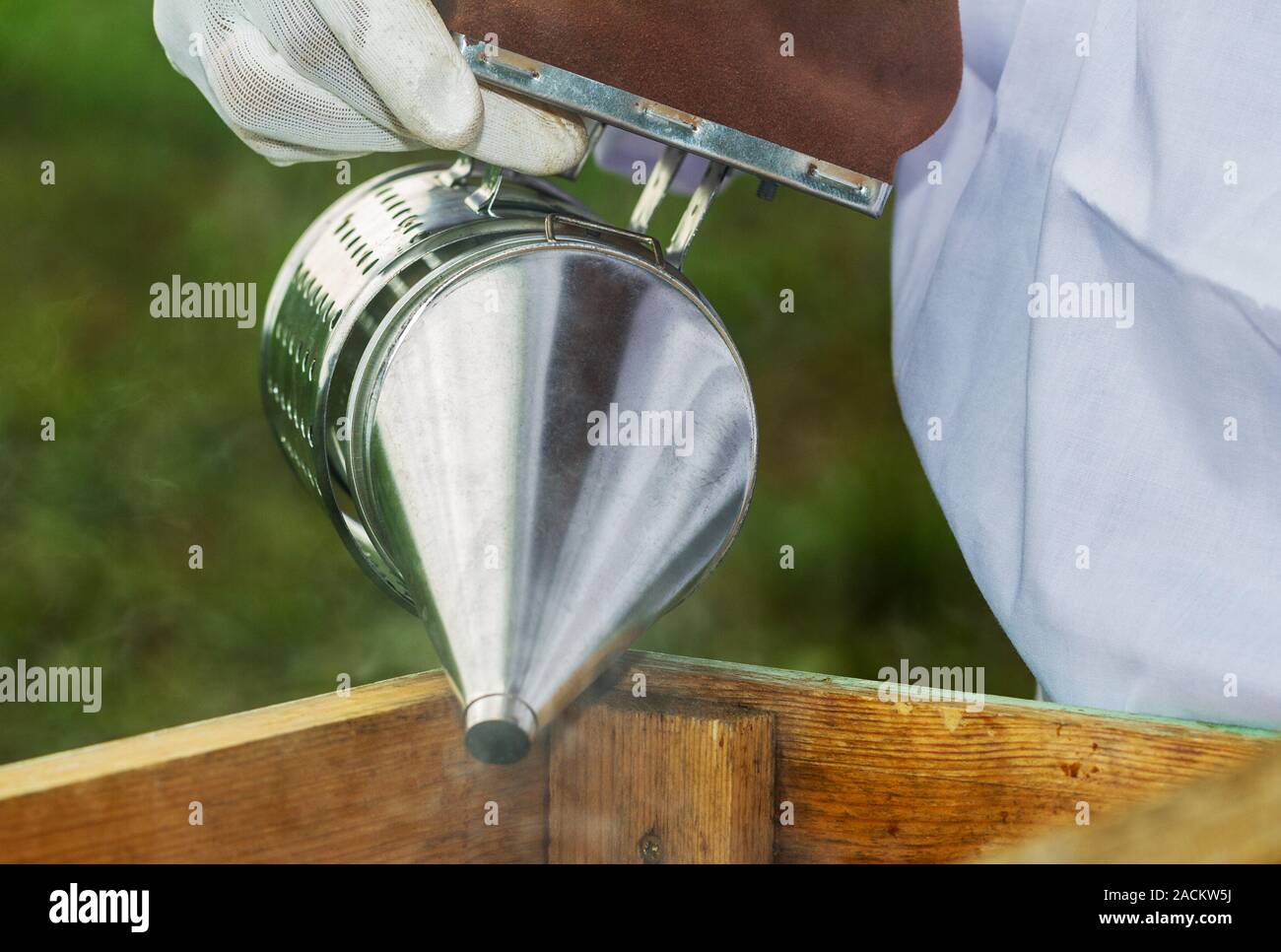 Smoker, beekeeping tool in apiary Stock Photo - Alamy