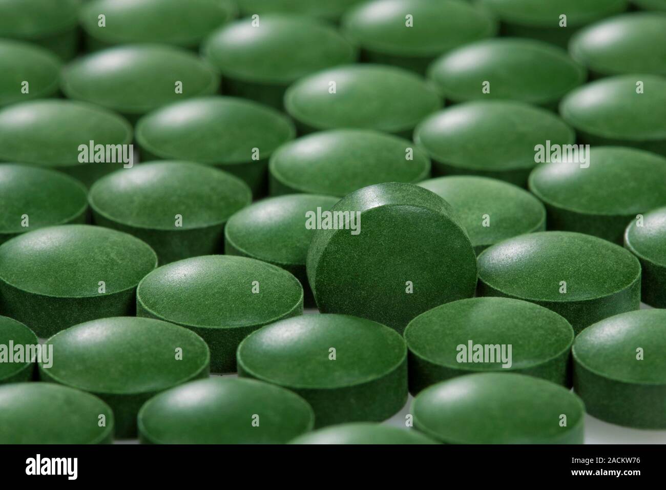 Microalgae food supplement tablets. Close-up of Odontella aurita ...