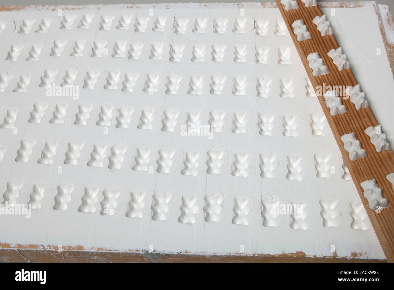 Microalgae food supplement production. Moulds used to make jelly sweets ...