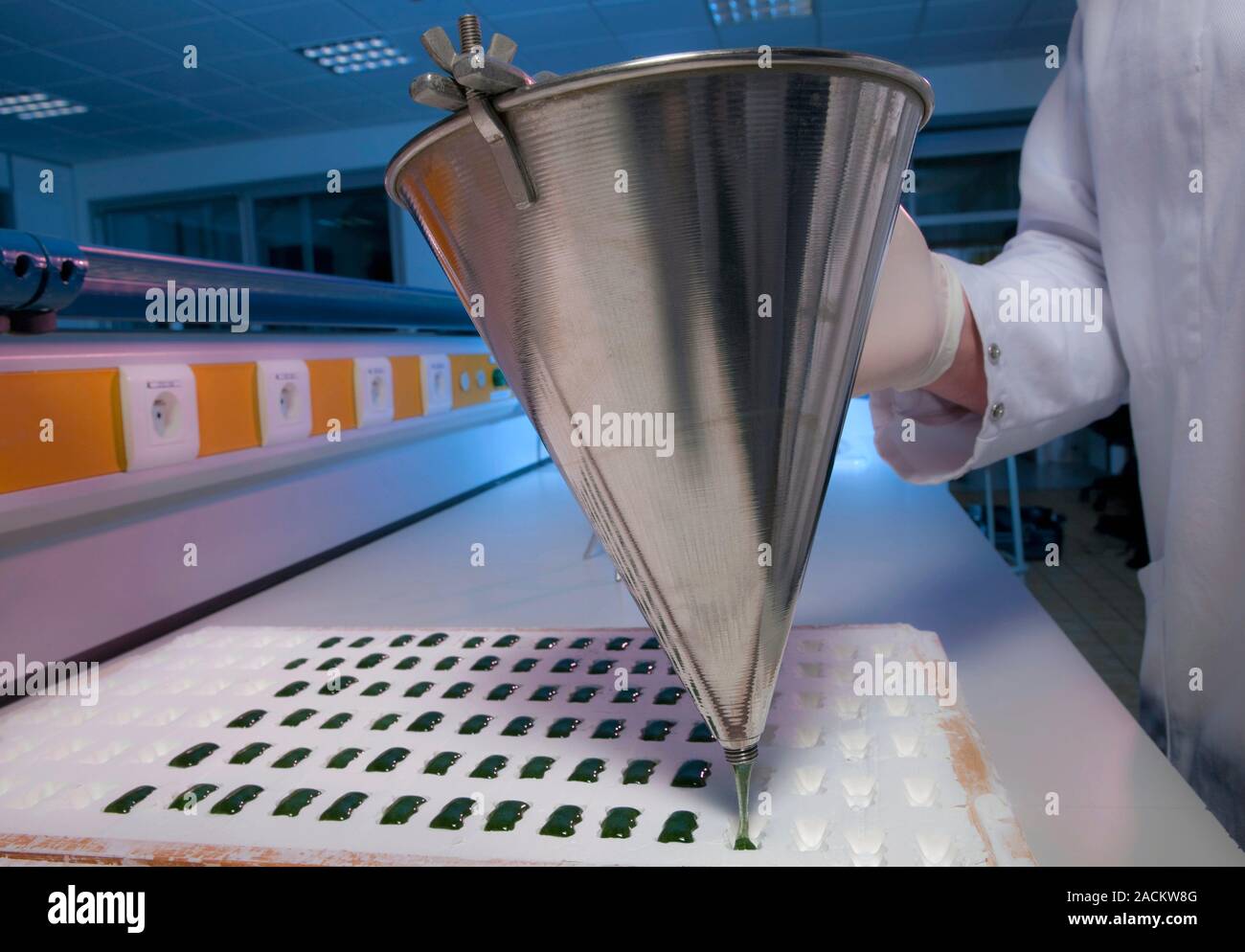 Microalgae food supplement production. Worker making jelly sweets that ...