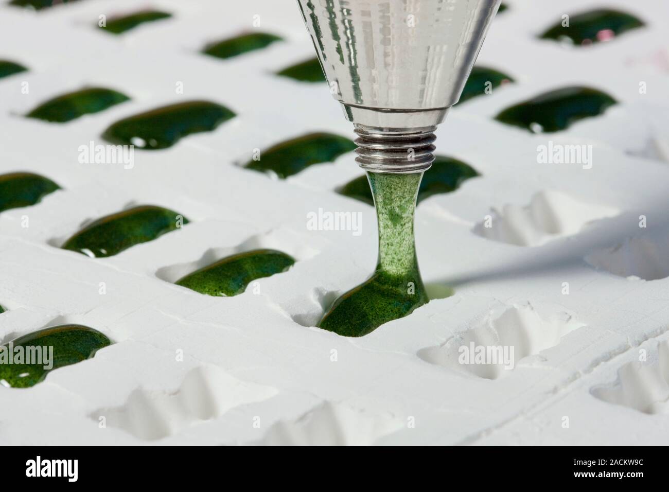 Microalgae food supplement production. Jelly sweets that contain ...