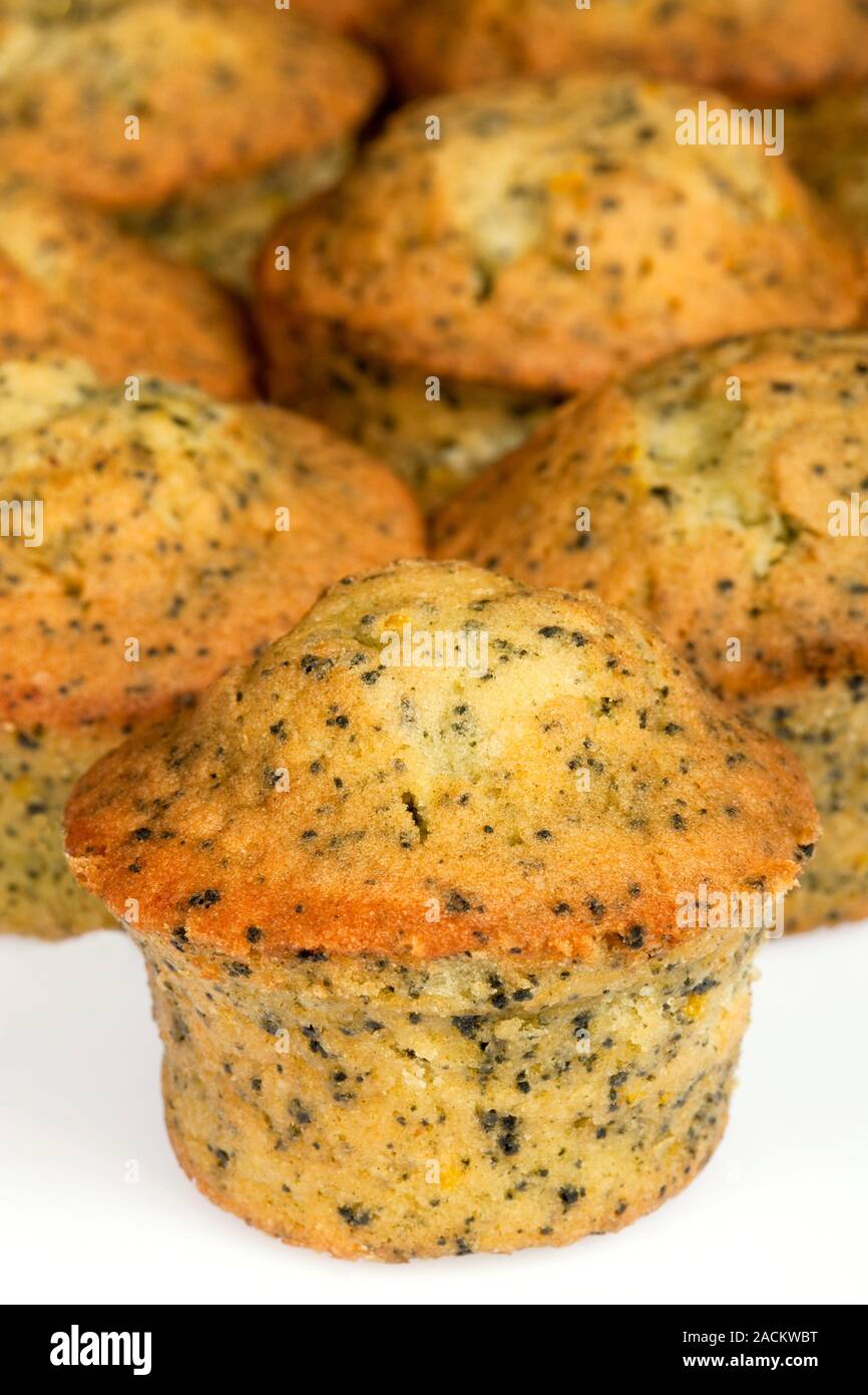 Microalgae cakes. Cakes containing green microalgae. Microalgae is ...