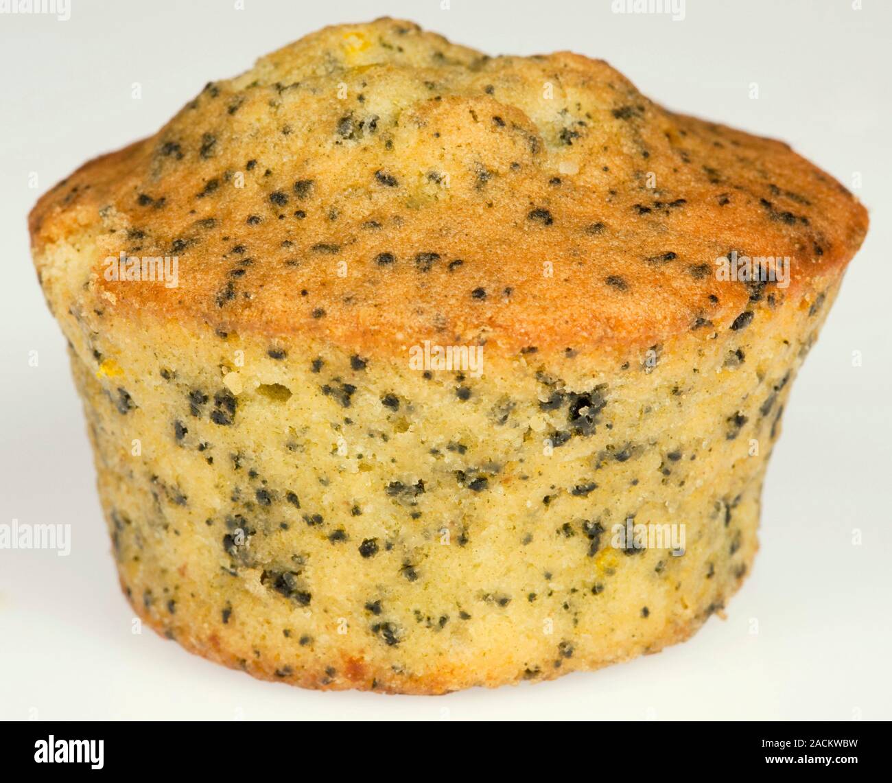 Microalgae cakes. Cake containing green microalgae. Microalgae is ...