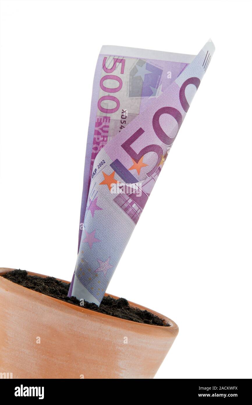 Euro banknote in flower pot. Interest, growth Stock Photo - Alamy