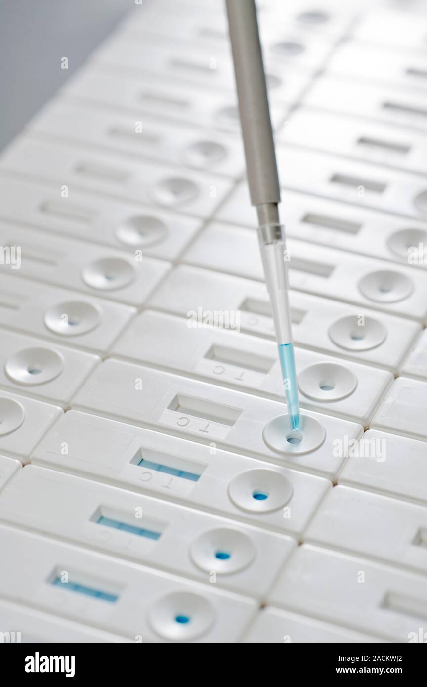 Lateral flow testing. Lateral flow test devices are test kits designed ...