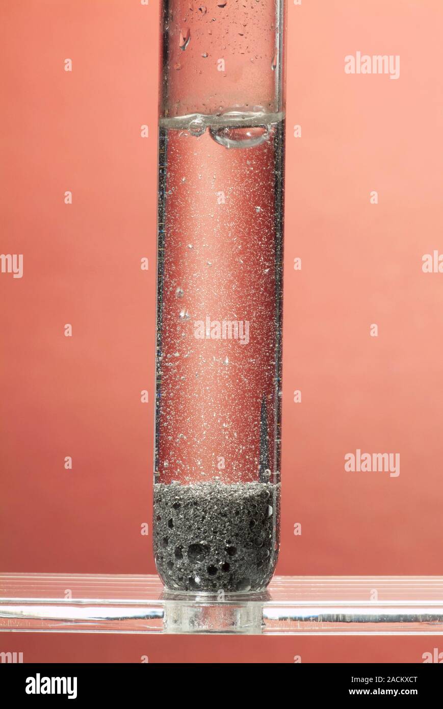 Iron-acid reaction. Iron metal reacts slowly in hydrochloric acid and ...