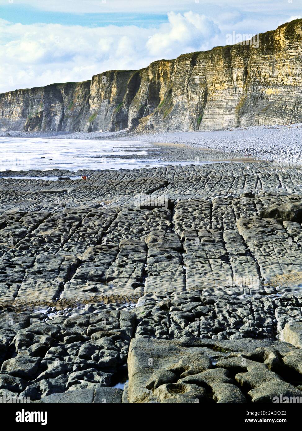 Coastal limestone platform. This level, smooth coastal platform of hard ...