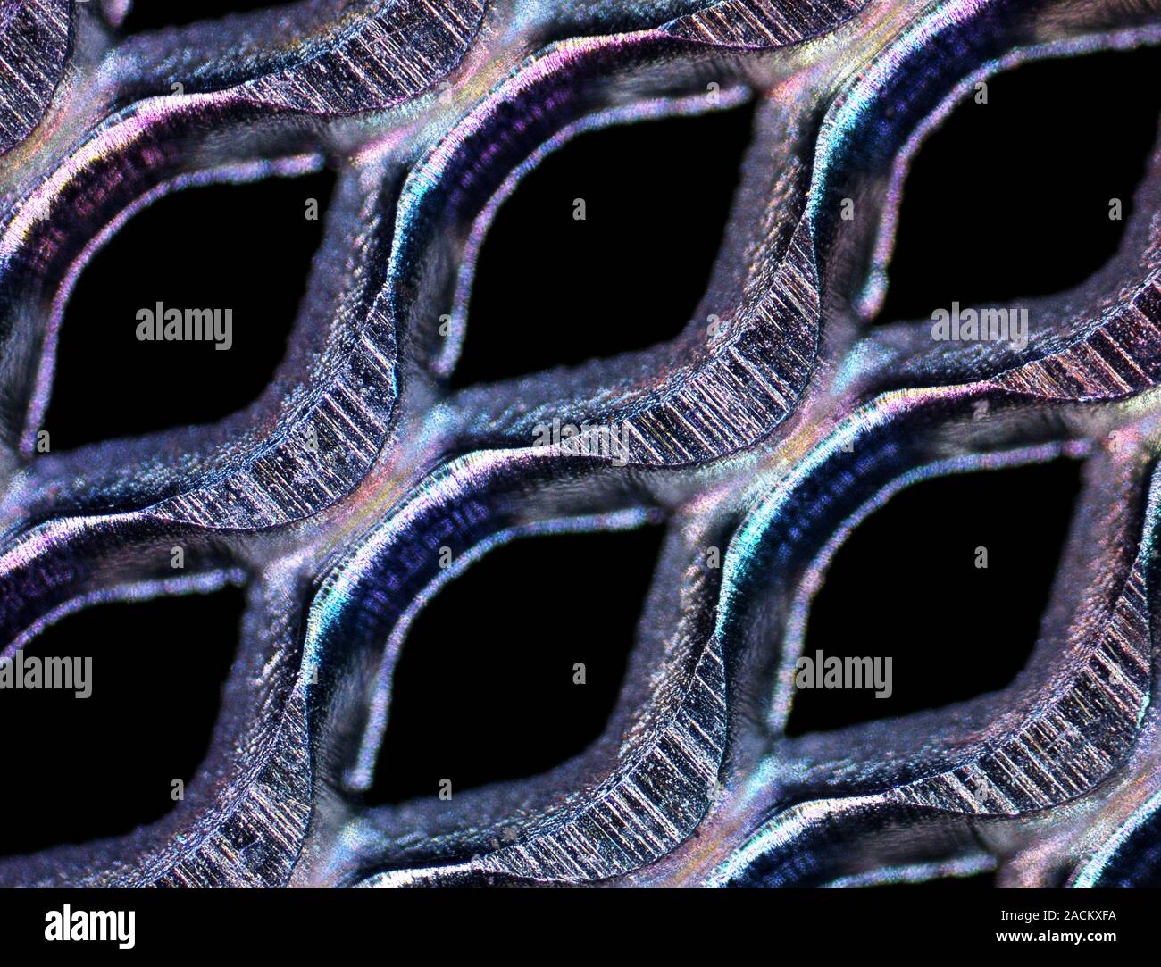 Light micrograph of the surface of a perforated steel sheet, using ...