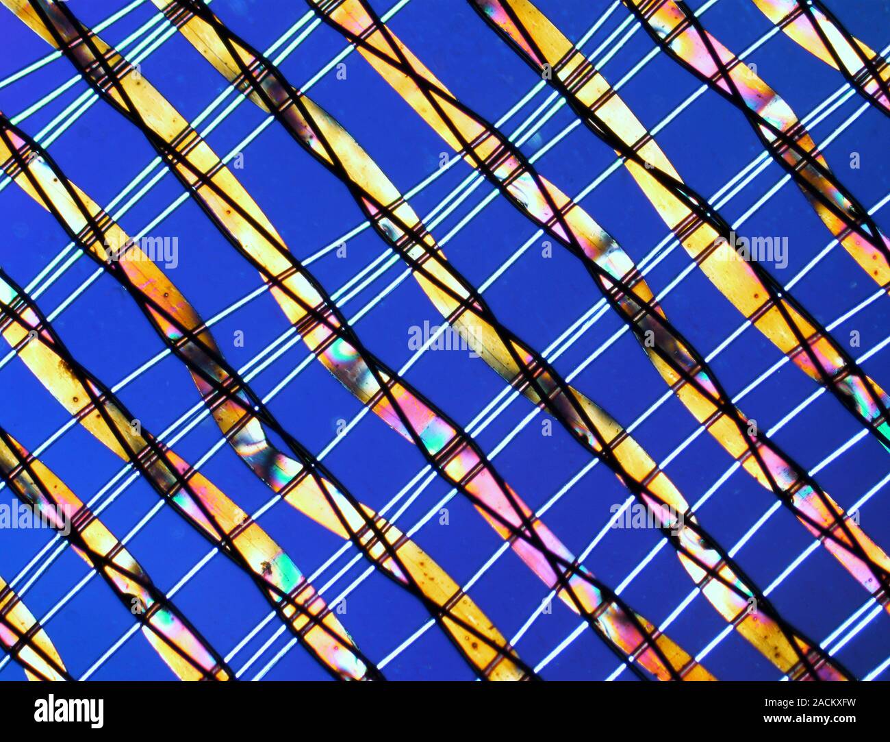 Light micrograph of a synthetic fibre, taken with polarised light ...
