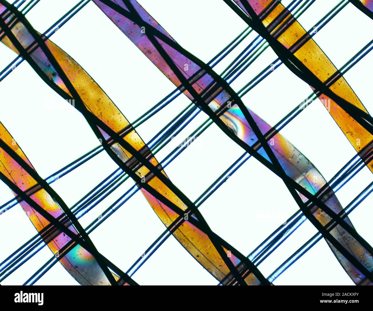 Light micrograph of a synthetic fibre, taken with polarised light ...