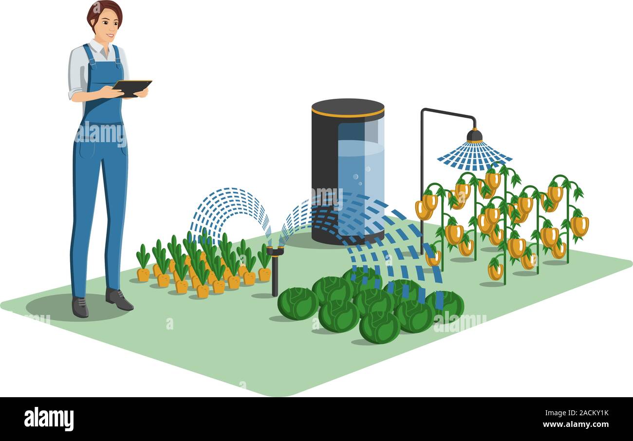 Woman farmer with digital tablet in greenhouse. Smart farm with ...