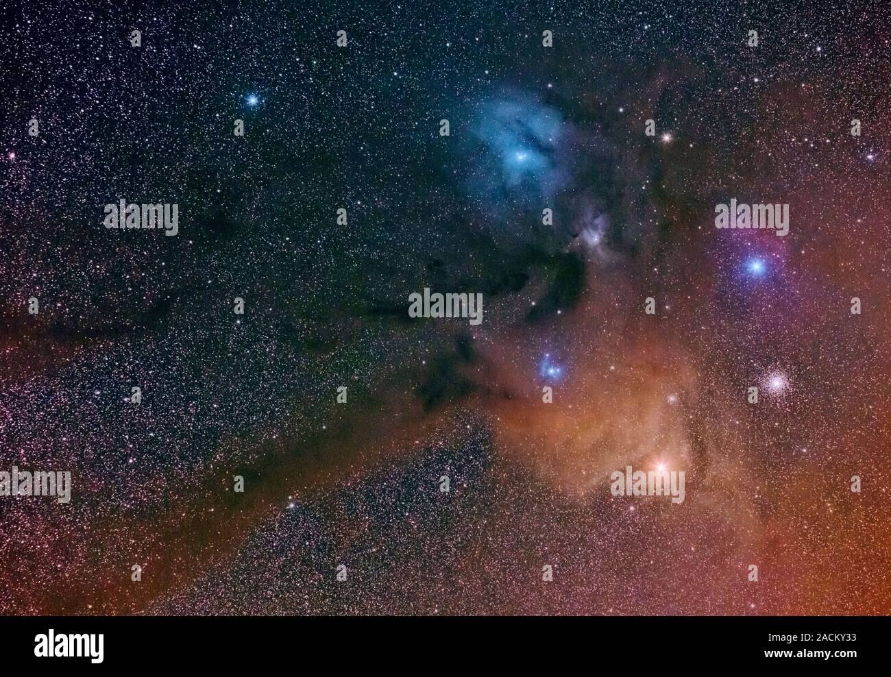 Rho Ophiuchi nebula. These coloured regions are clouds of dust and gas ...