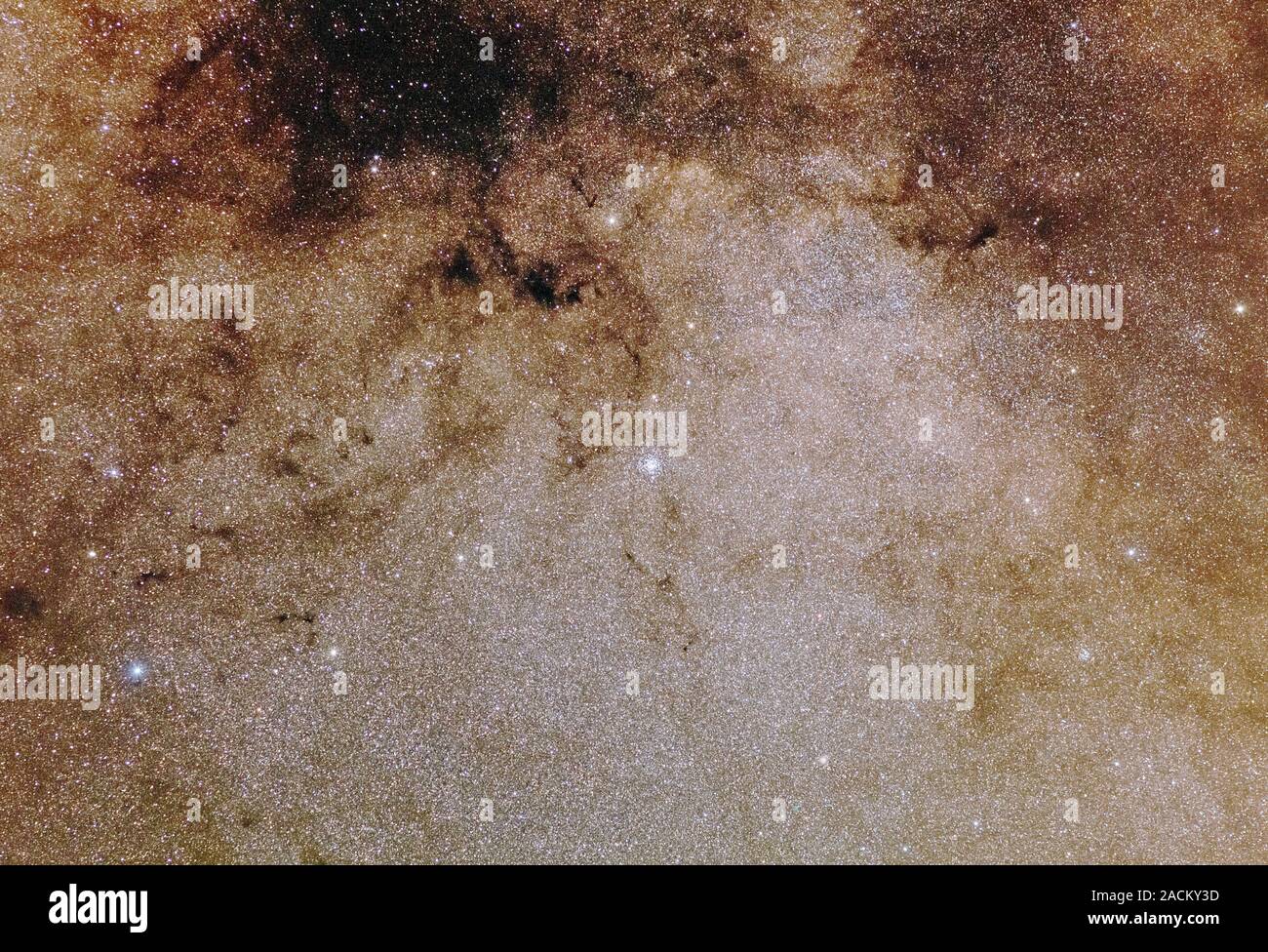 Wild Duck star cluster (M11). This is a dense cluster of nearly 3000 ...