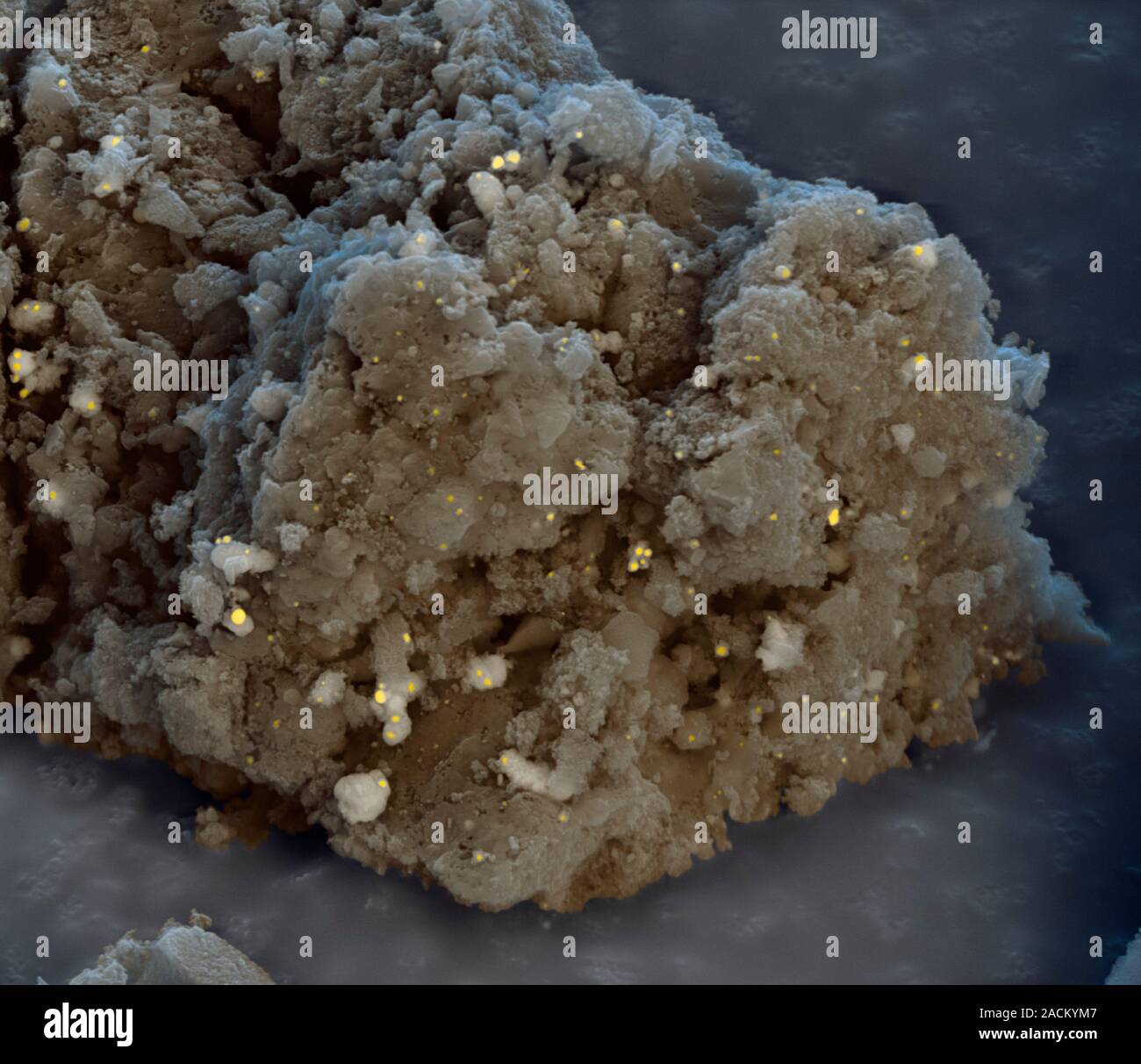 Activated carbon. Coloured scanning electron micrograph (SEM) showing ...