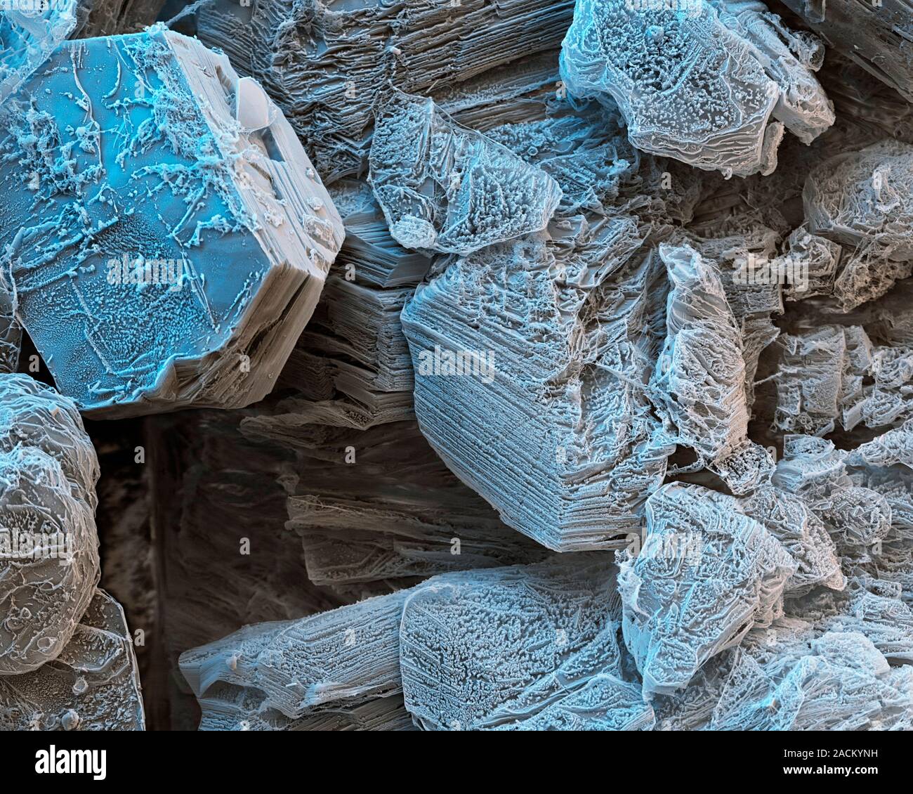 Borax crystals. Coloured scanning electron micrograph (SEM) of crystals ...