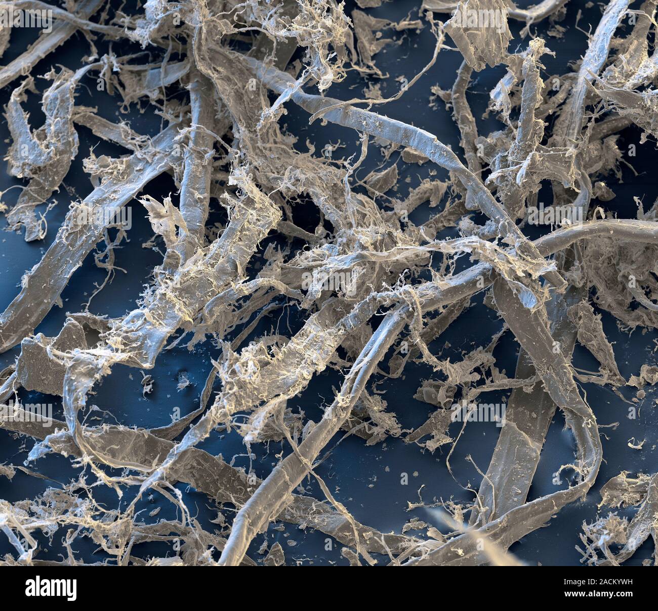 Insulation fibres. Coloured scanning electron micrograph (SEM) of a ...