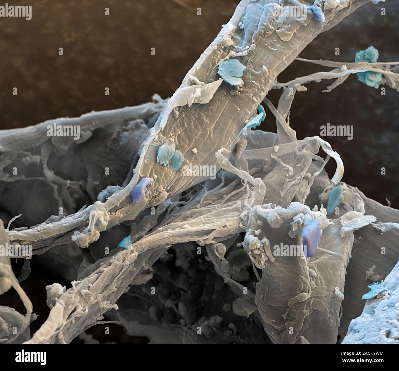 Insulation fibres. Coloured scanning electron micrograph (SEM) of a ...