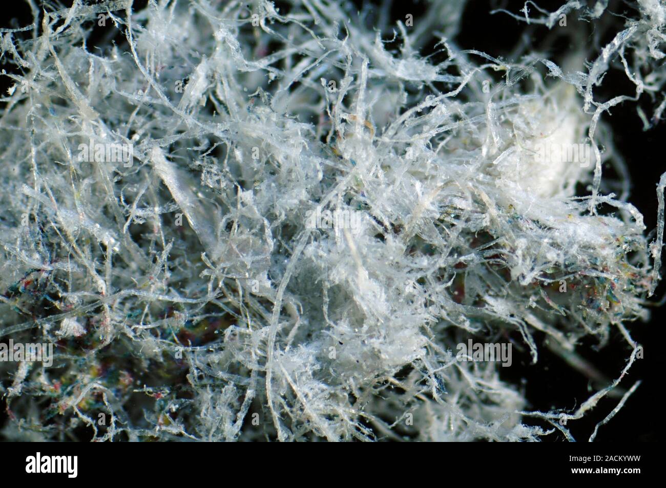Insulation fibres. Coloured scanning electron micrograph (SEM) of a ...