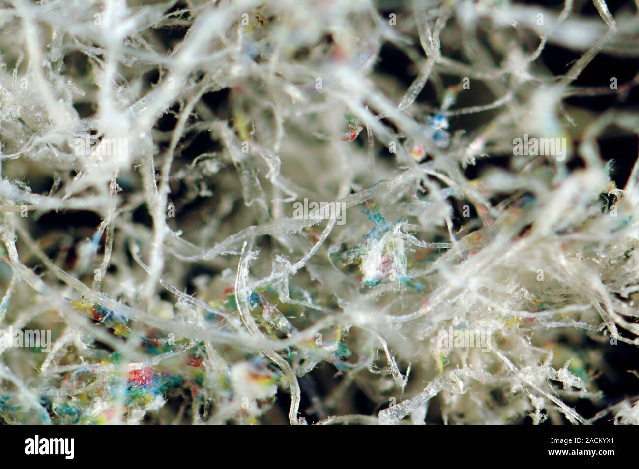 Insulation fibres. Coloured scanning electron micrograph (SEM) of a ...