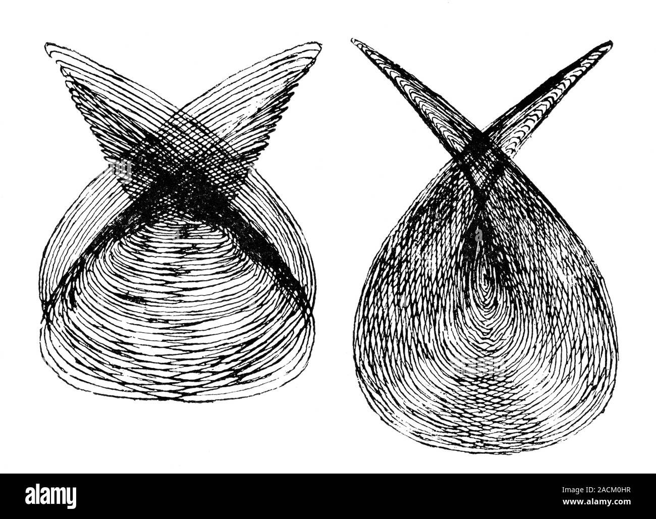 Harmonograph images, 19th century artwork. Harmonographs use pendulums ...