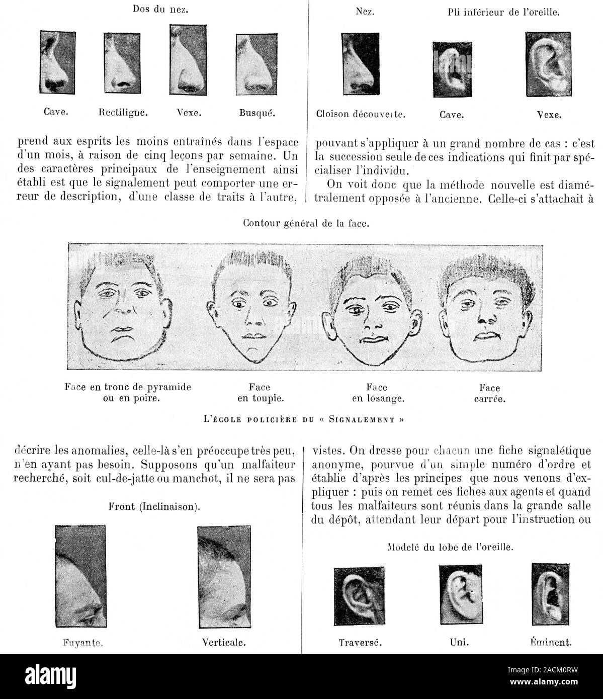 Police identity features, 19th-century artwork. Various shapes of nose ...