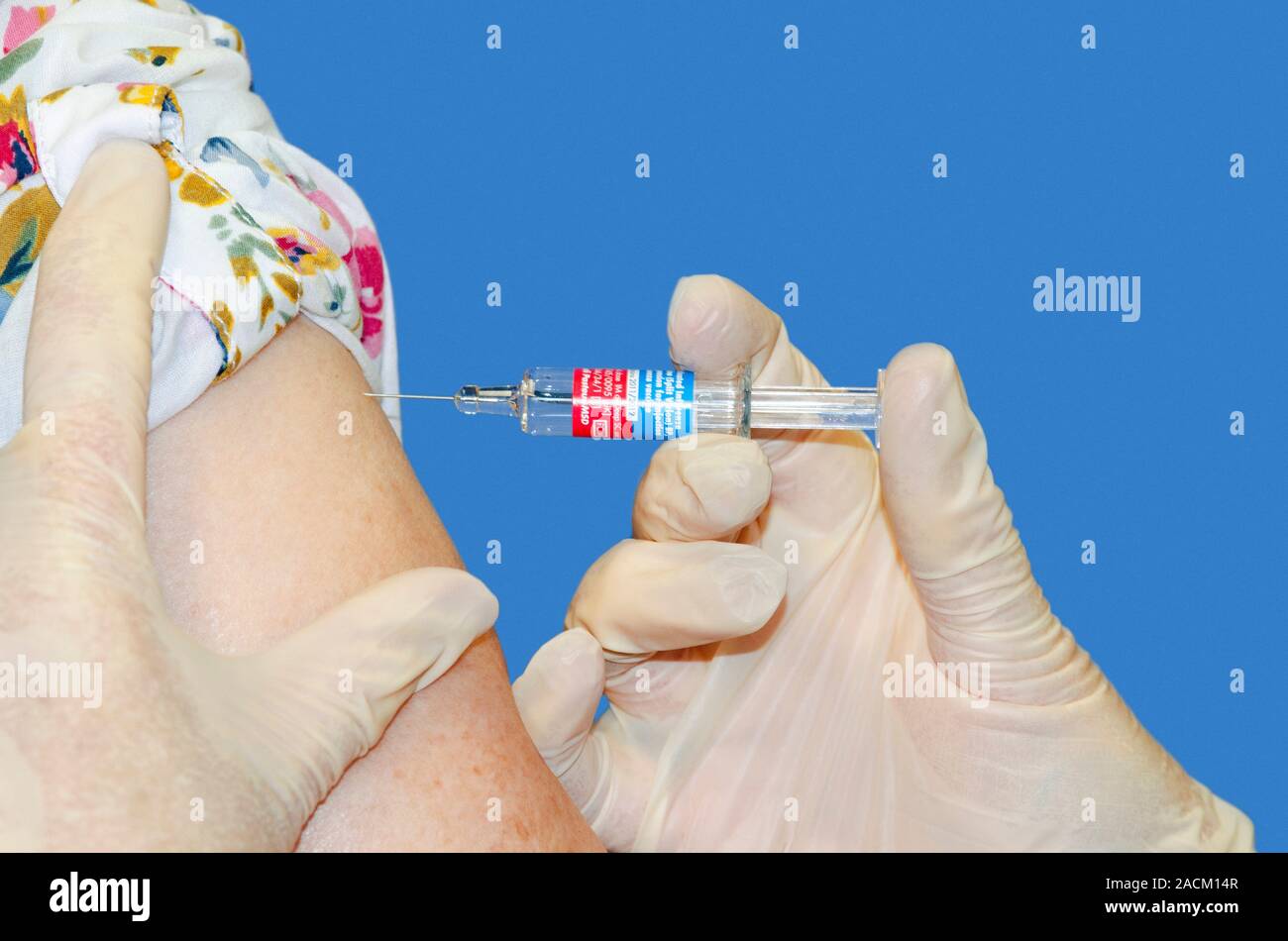 Seasonal influenza (flu) vaccination. Nurse injecting the upper arm of ...