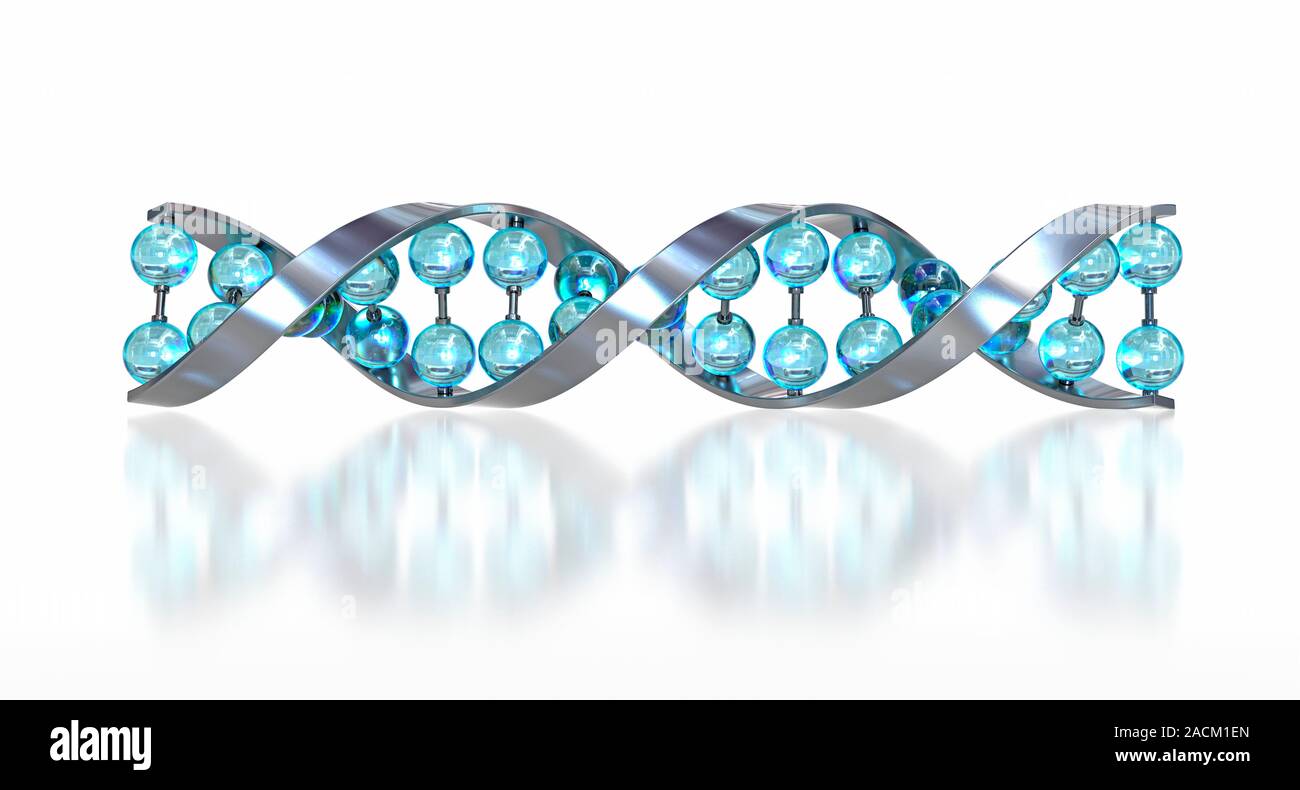 Dna Molecule Computer Artwork Showing A Double Stranded Dna Deoxyribonucleic Acid Molecule