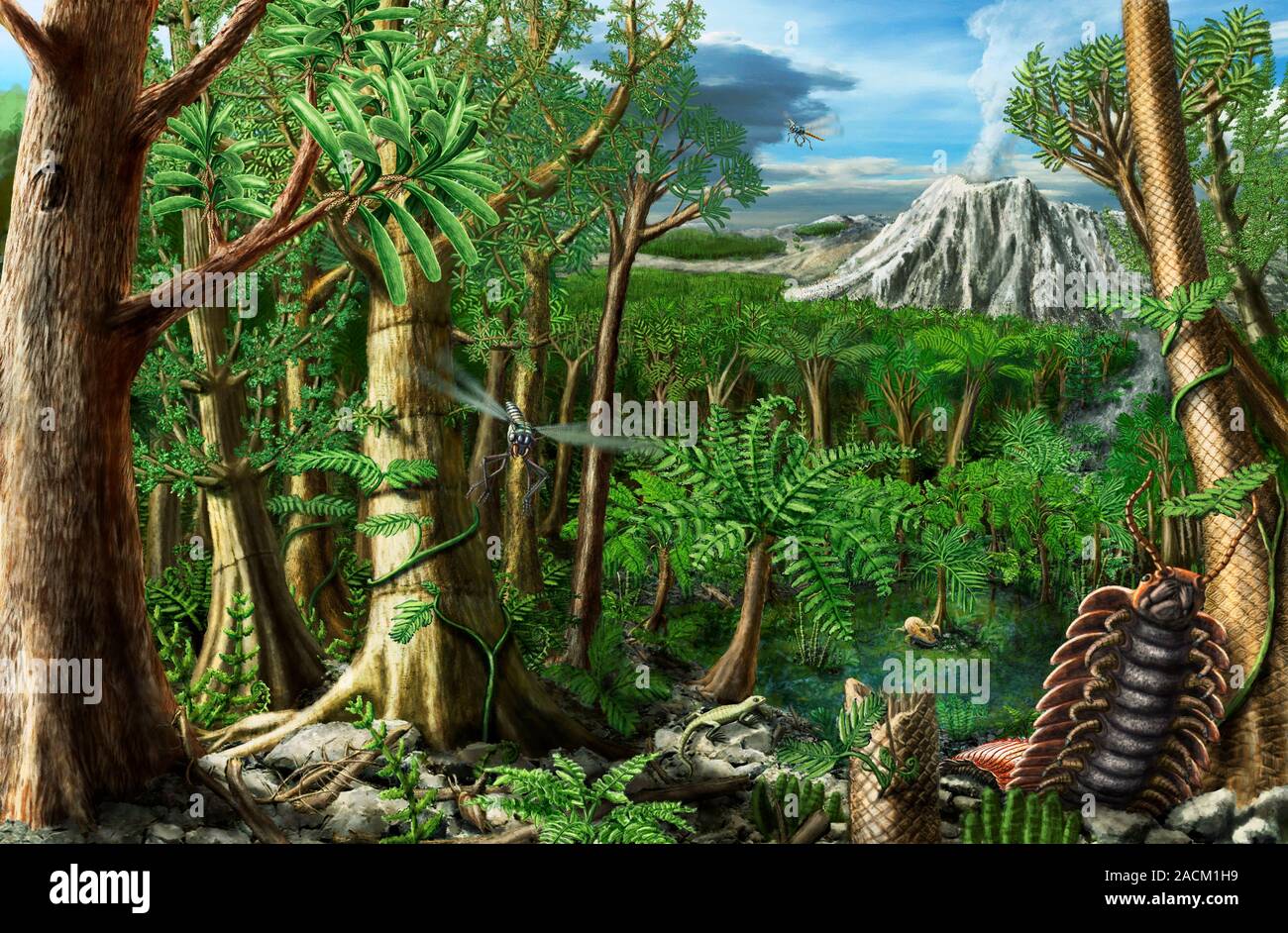 Permian landscape. Computer artwork of prehistoric insects in a ...