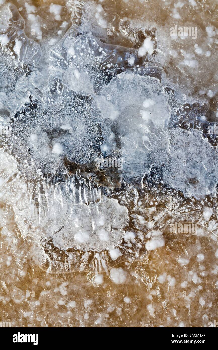 Salt deposit crystals. These salt crystals have been formed by ...