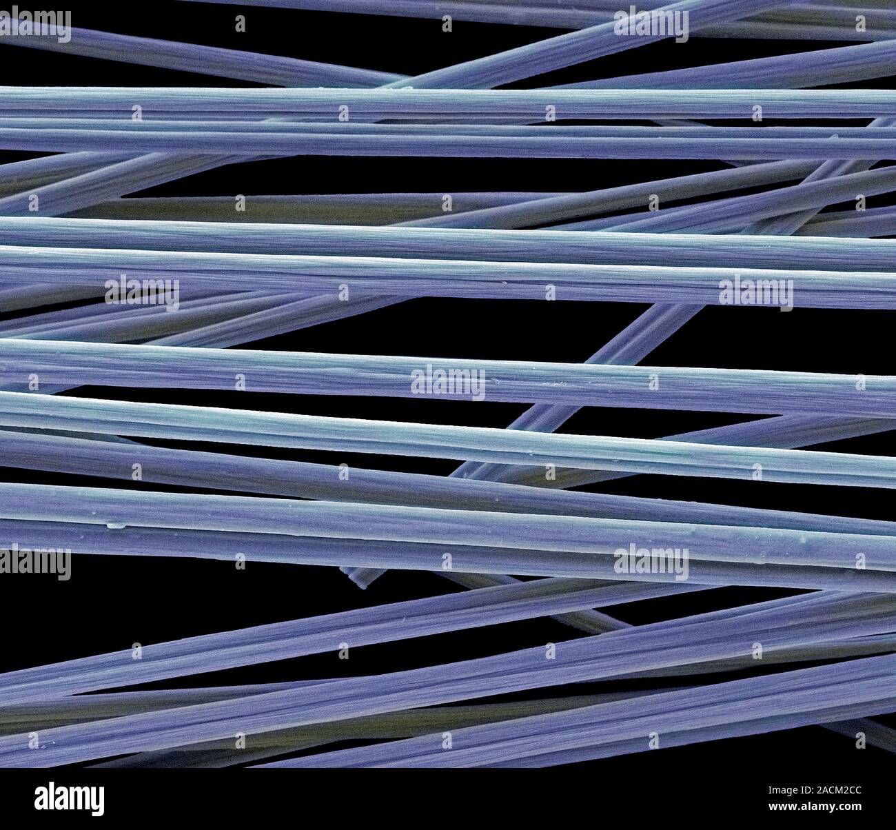 Carbon fibres, coloured scanning electron micrograph (SEM). These ...