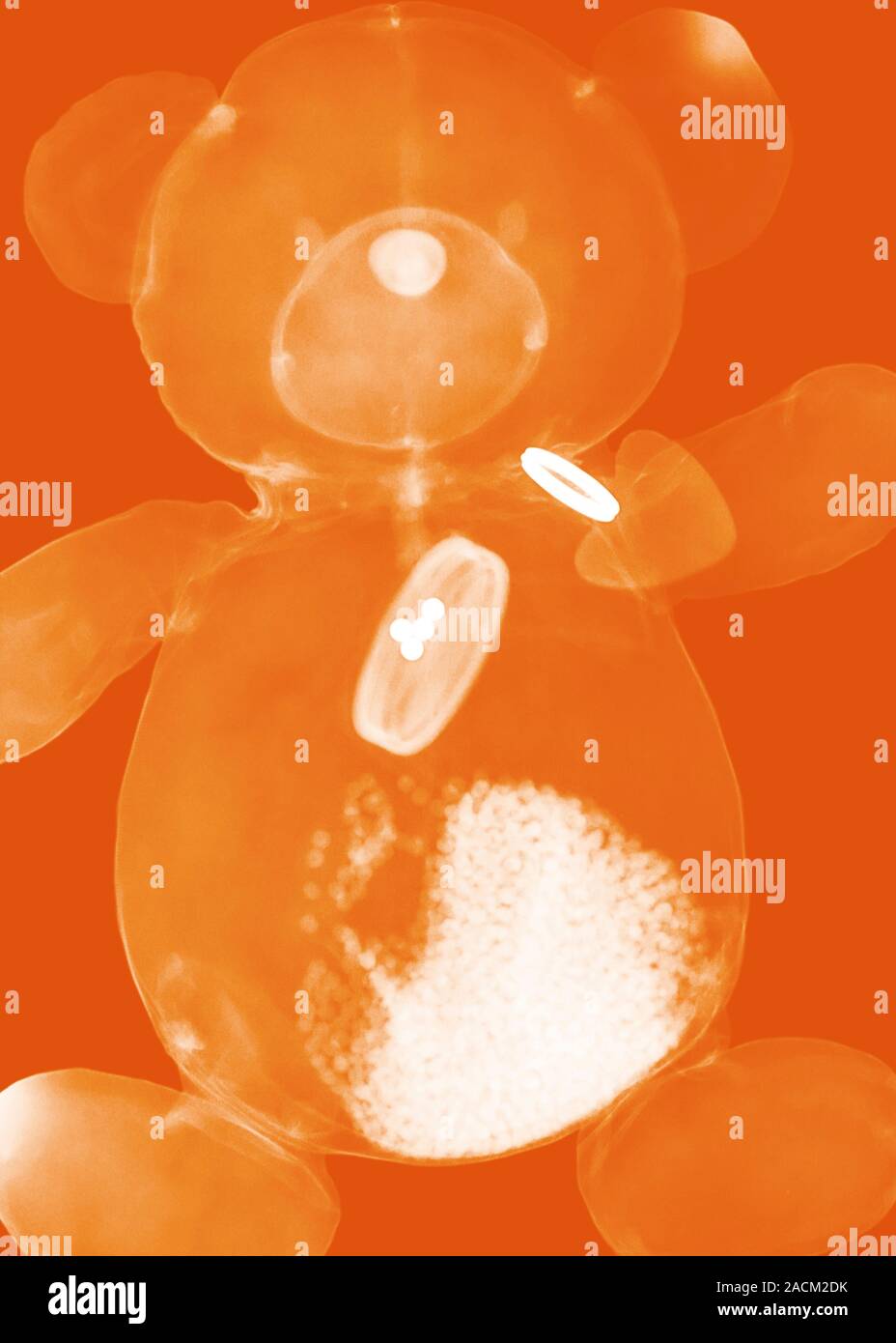 Teddy bear, coloured X-ray Stock Photo - Alamy