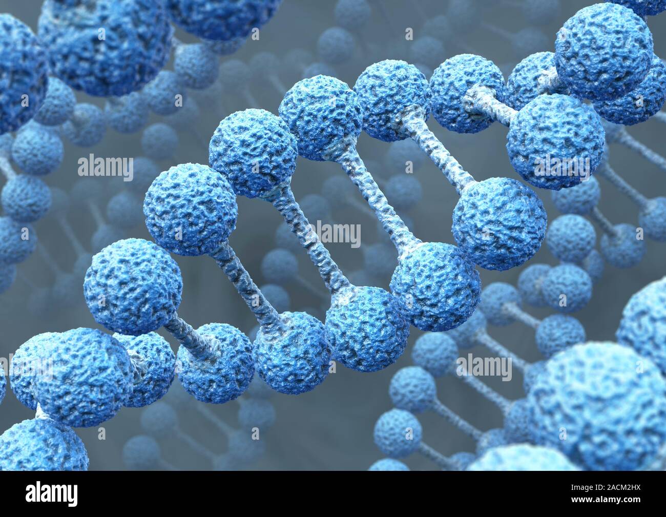 DNA molecules. Computer artwork showing double stranded DNA ...