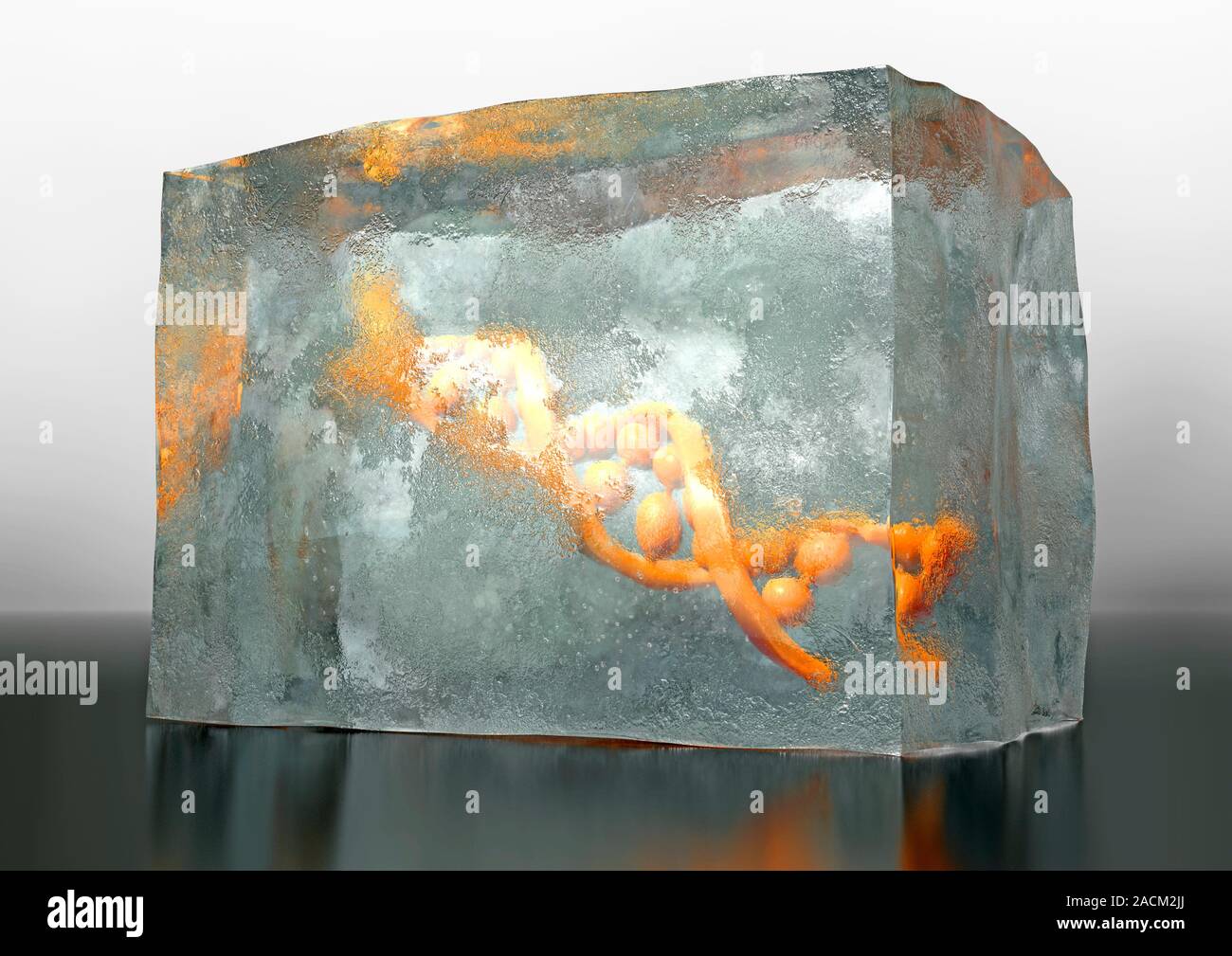 Frozen DNA, conceptual image. Computer artwork showing a DNA ...