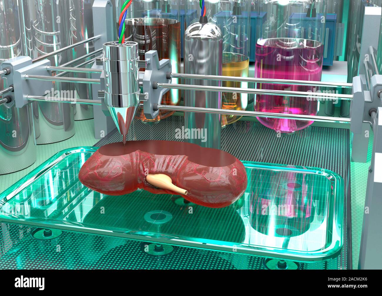 Organ engineering, conceptual image. Computer artwork of a machine ...