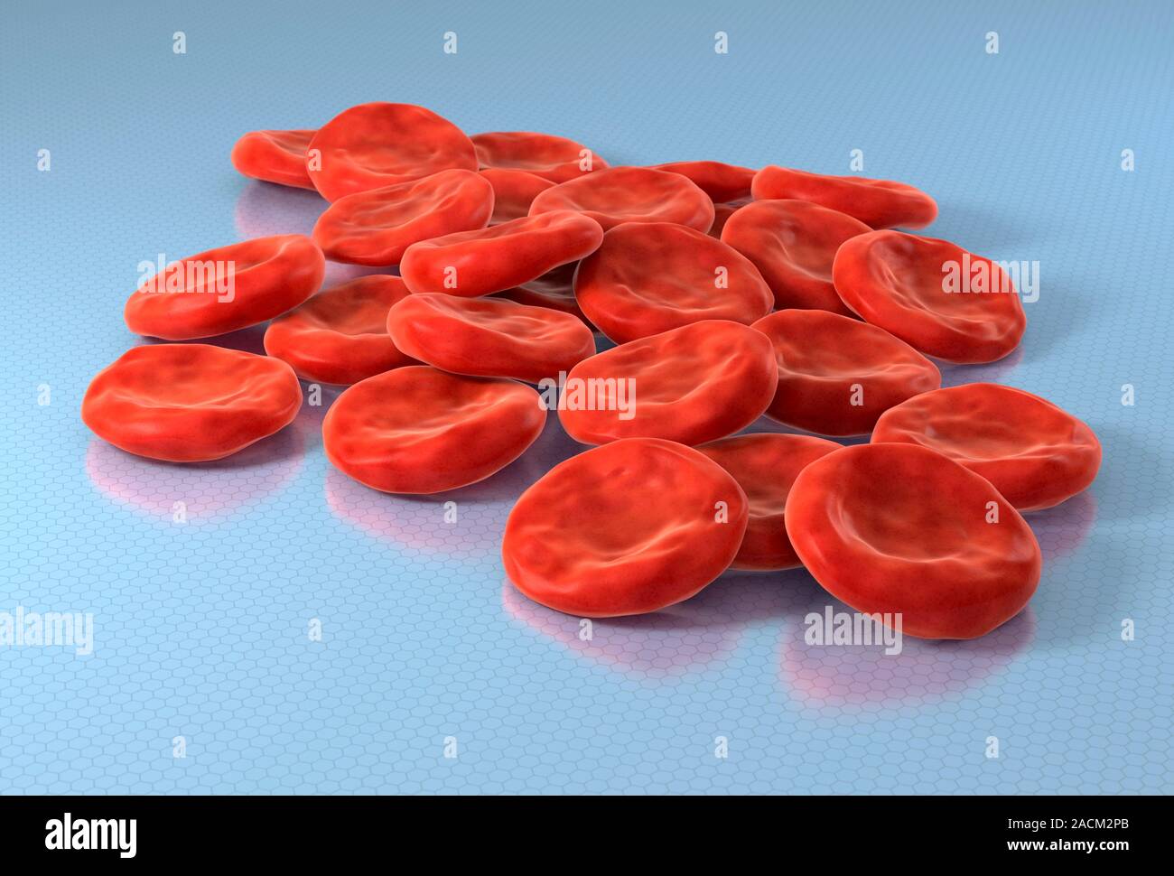 Red blood cells, computer artwork. Red blood cells (erythrocytes) are ...