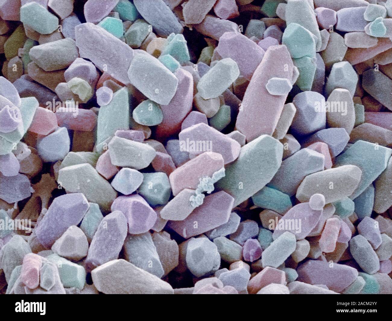 Balancing stone from inner ear. Coloured scanning electron micrograph ...