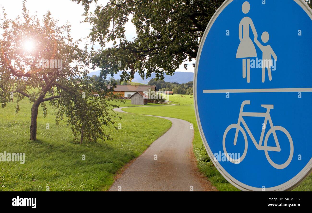 Shared use path. Public sign with symbols indicating that this path is ...
