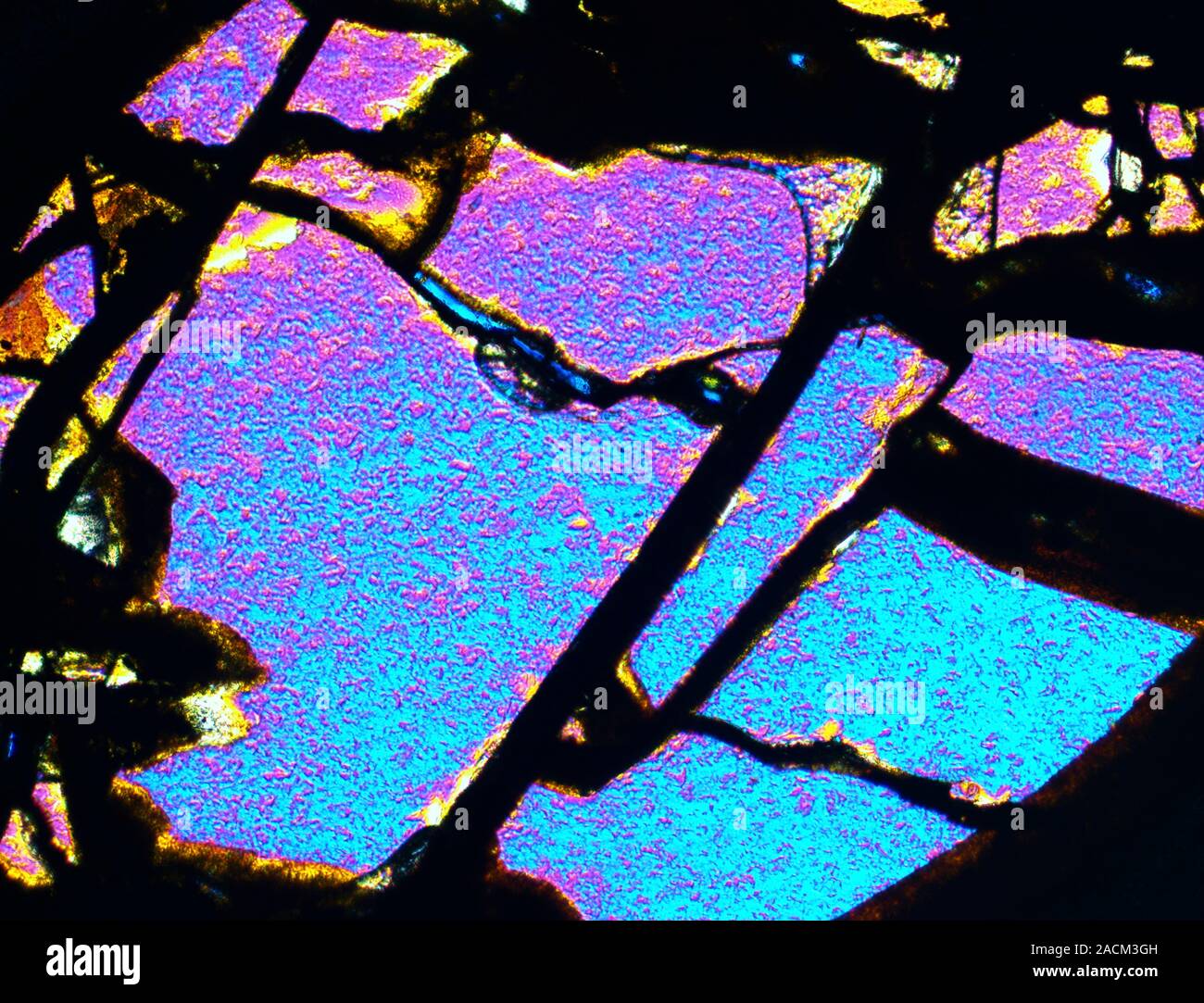 Polarized light micrograph of a thin section of the meteorite Jepara ...