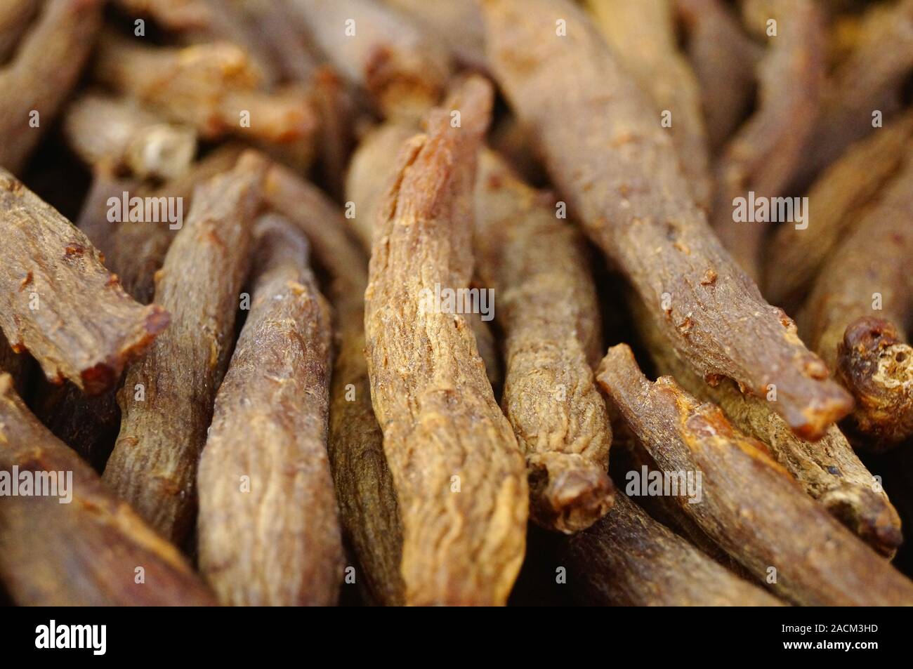 Close-up of the medicinal herb red ginseng Stock Photo - Alamy