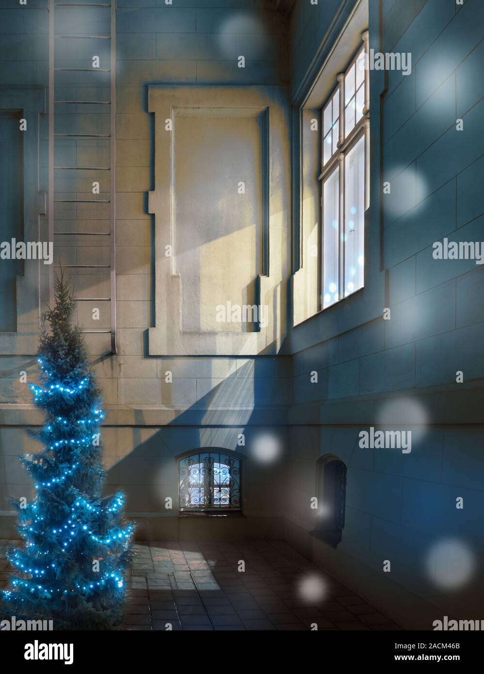 Chistmas tree hi-res stock photography and images - Alamy