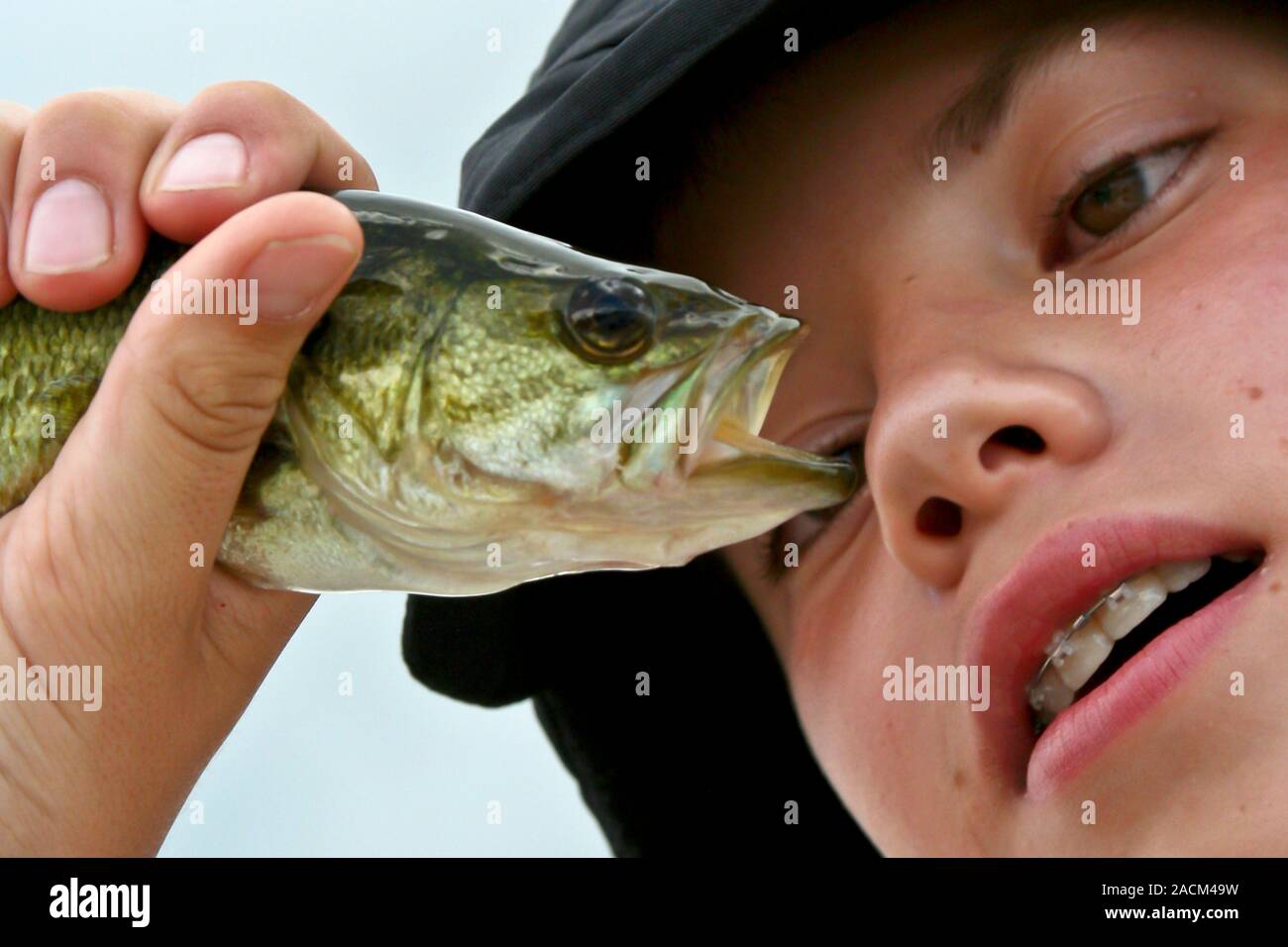Boy looking at a fish. Young boy inspecting a small largemouth bass ...