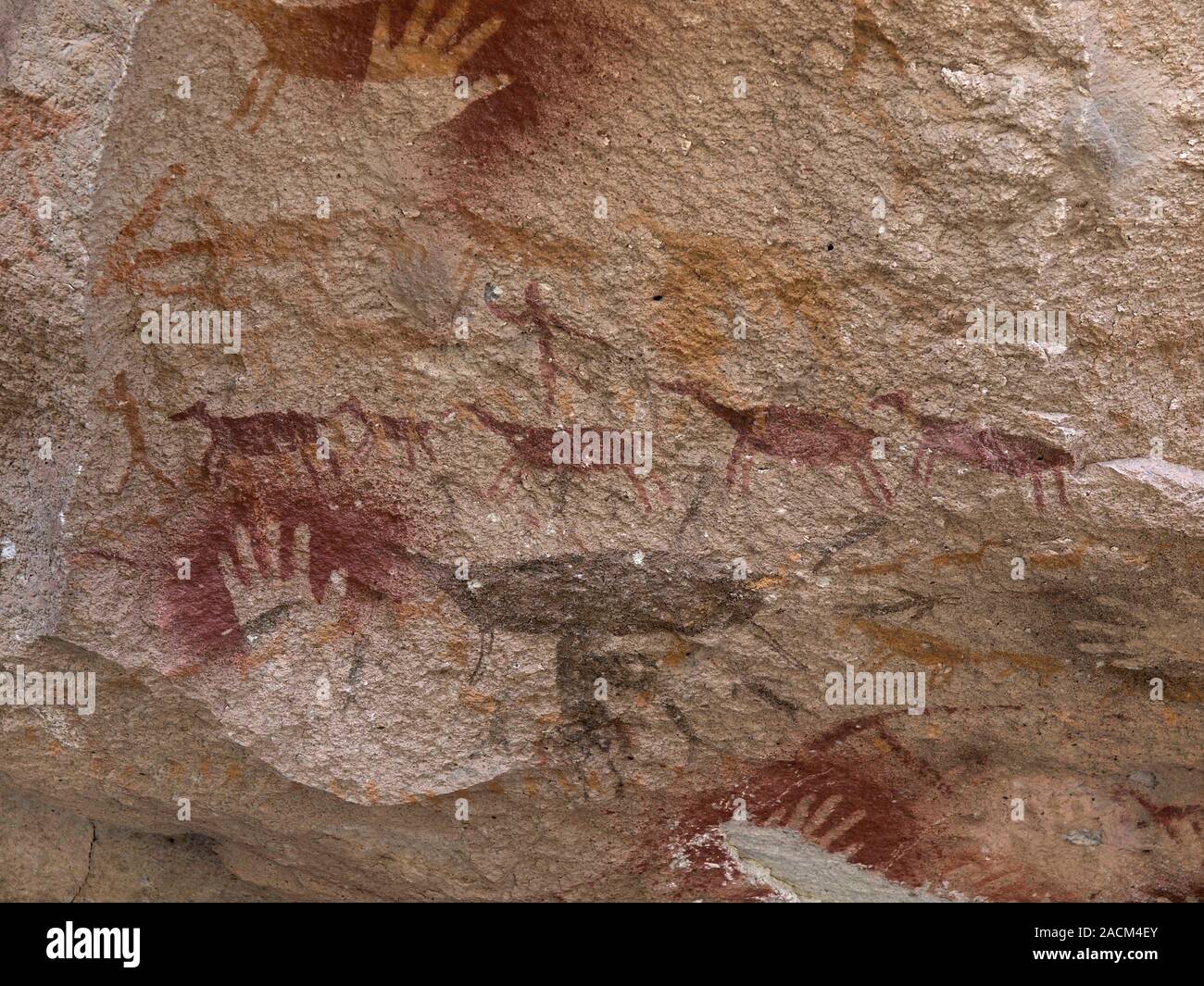 Cave of the hands. Cave paintings in the Cueva de las Manos (Cave of ...