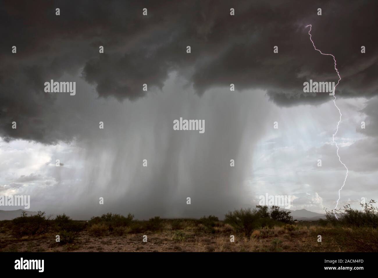 Lightning during desert storm. Time-exposure image of a lightning ...