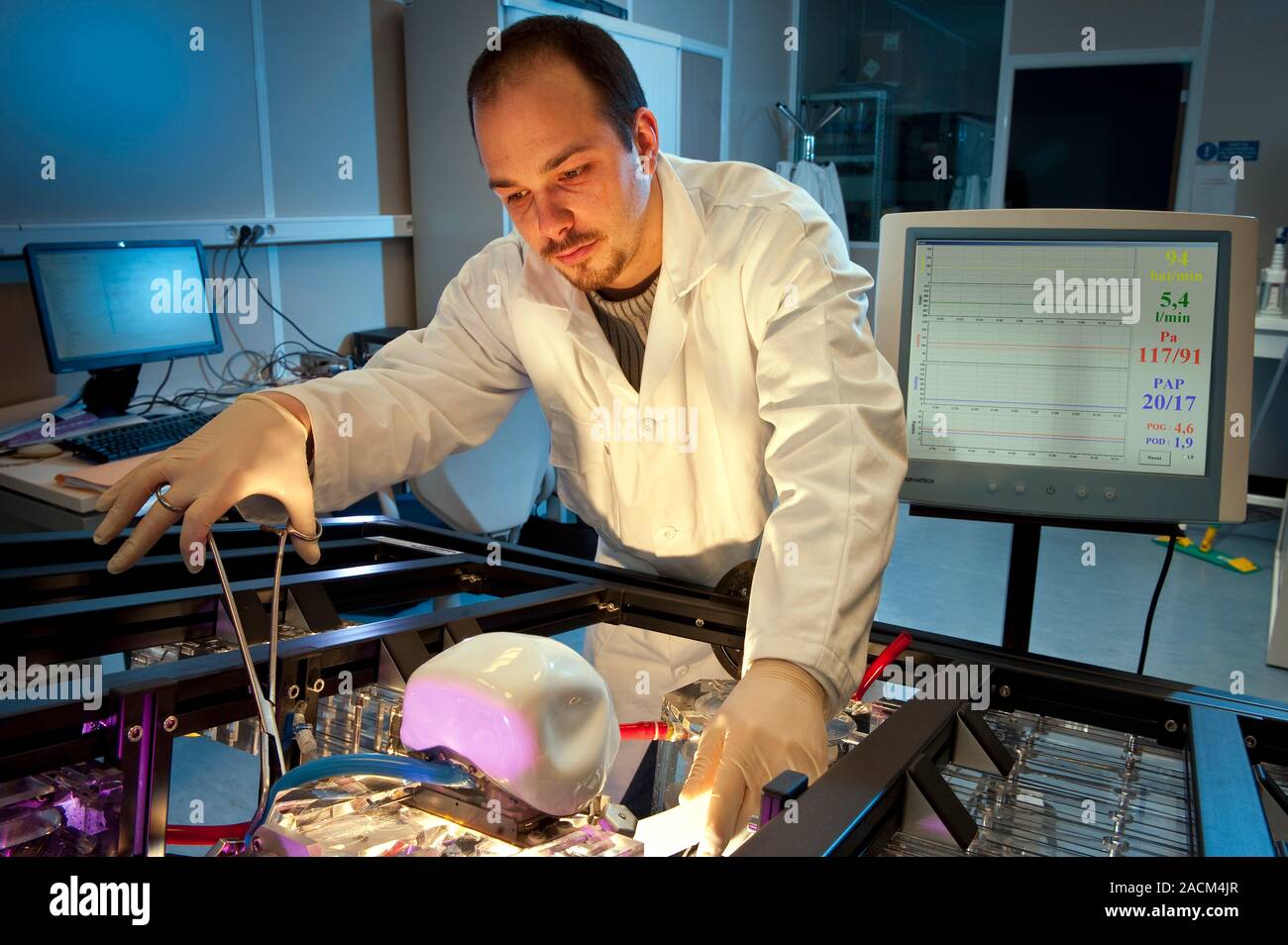 CARMAT artificial heart research. Medical engineer using a human body ...