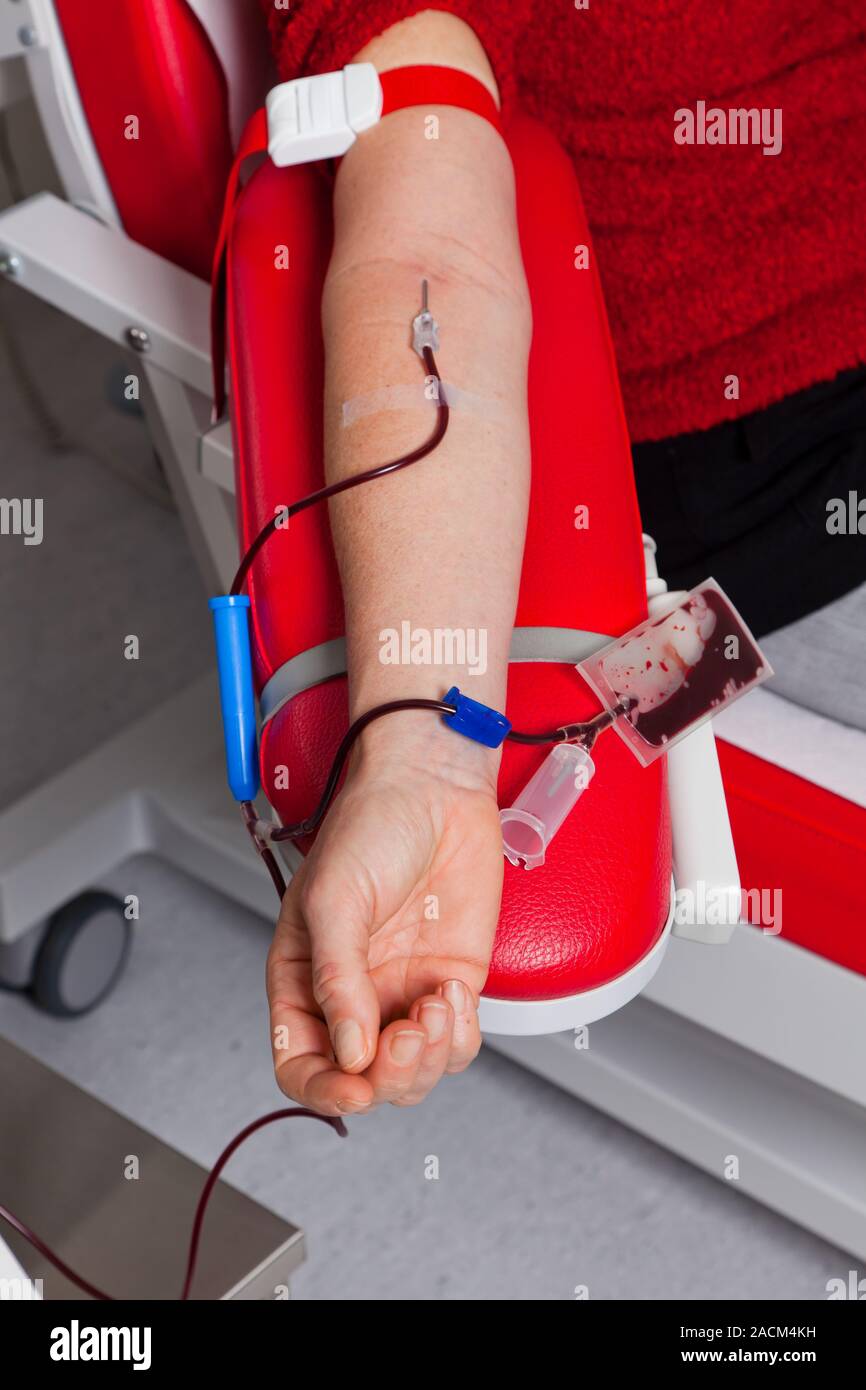 Blood collection during blood donation in a blood laboratory Stock ...
