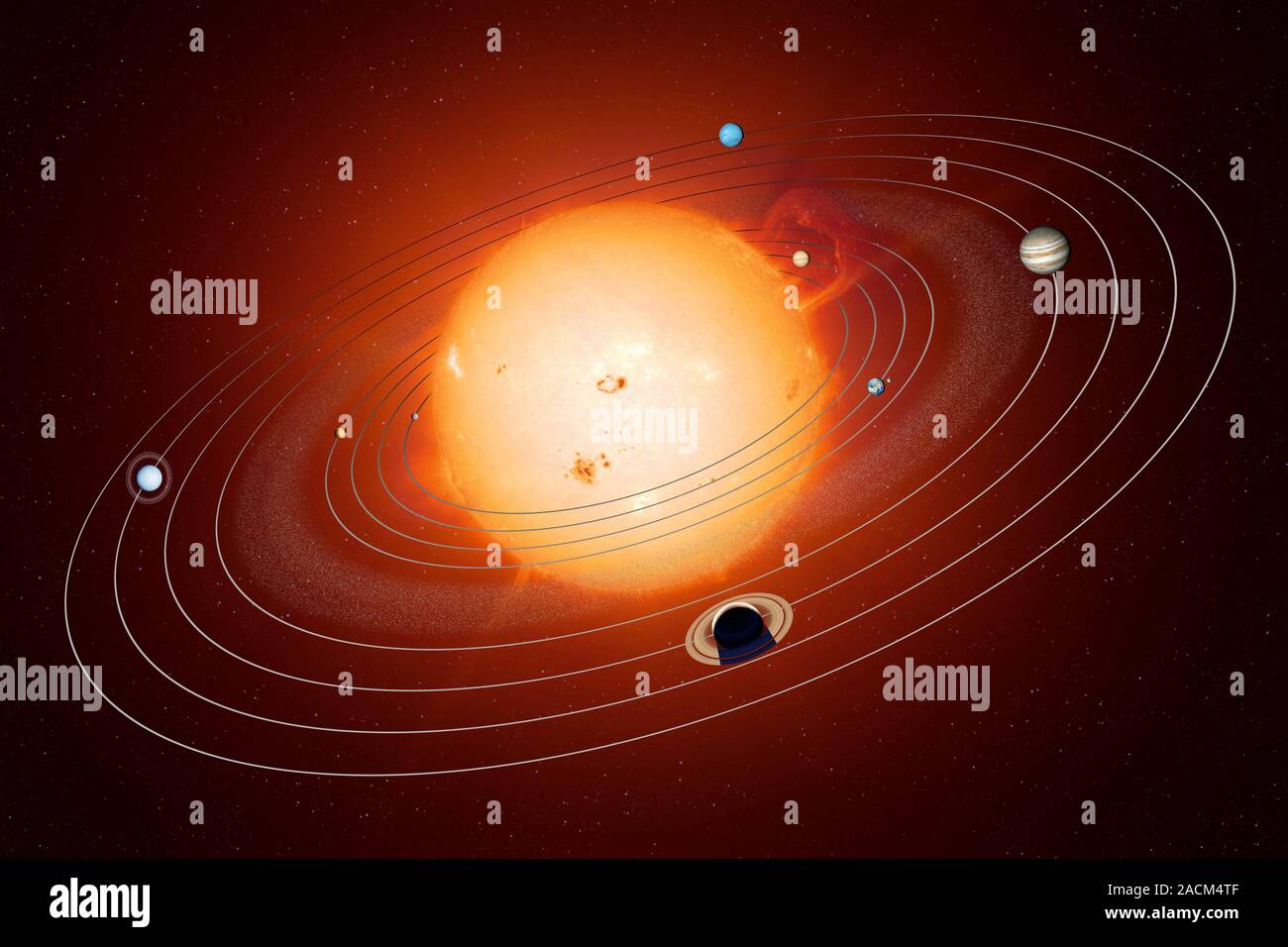 Solar System orbits. Artwork of Earth's solar system, showing the eight ...