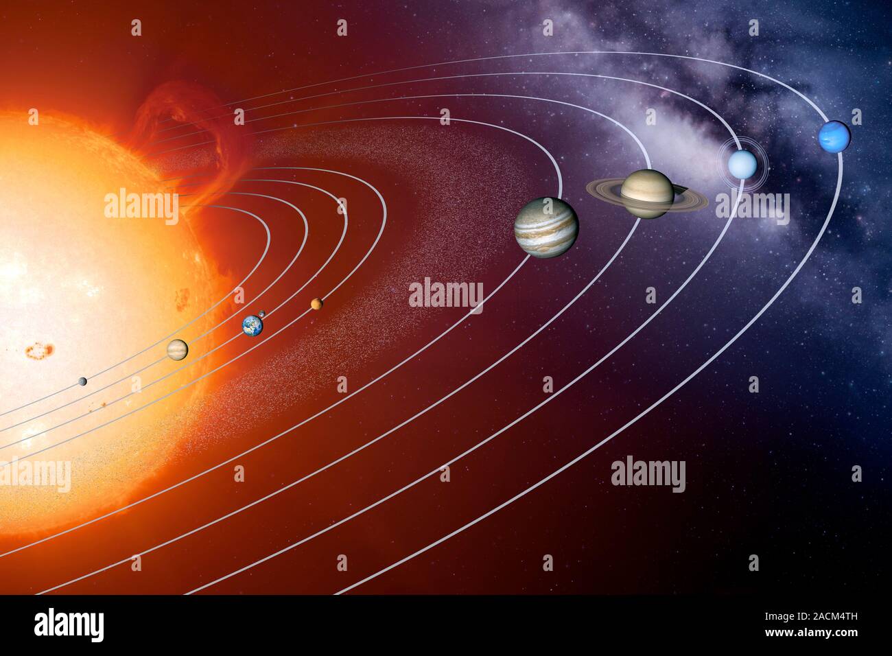 Solar System orbits. Artwork of Earth's solar system, showing the eight ...